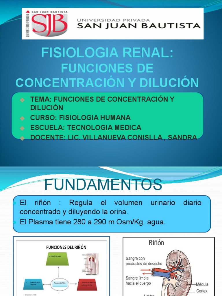Fisio Concentra y Dilu2017 PDF | PDF | Concentración | Orina