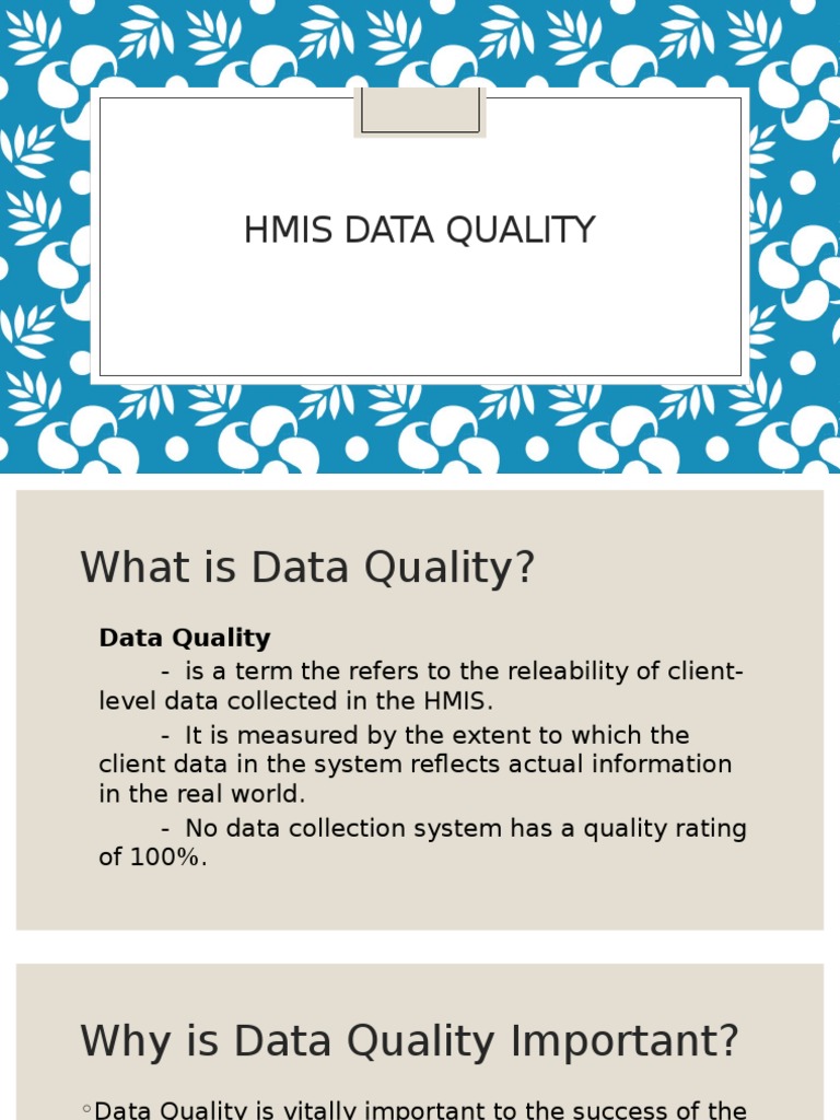 HMIS - Data Quality | PDF | User Interface | Data Quality