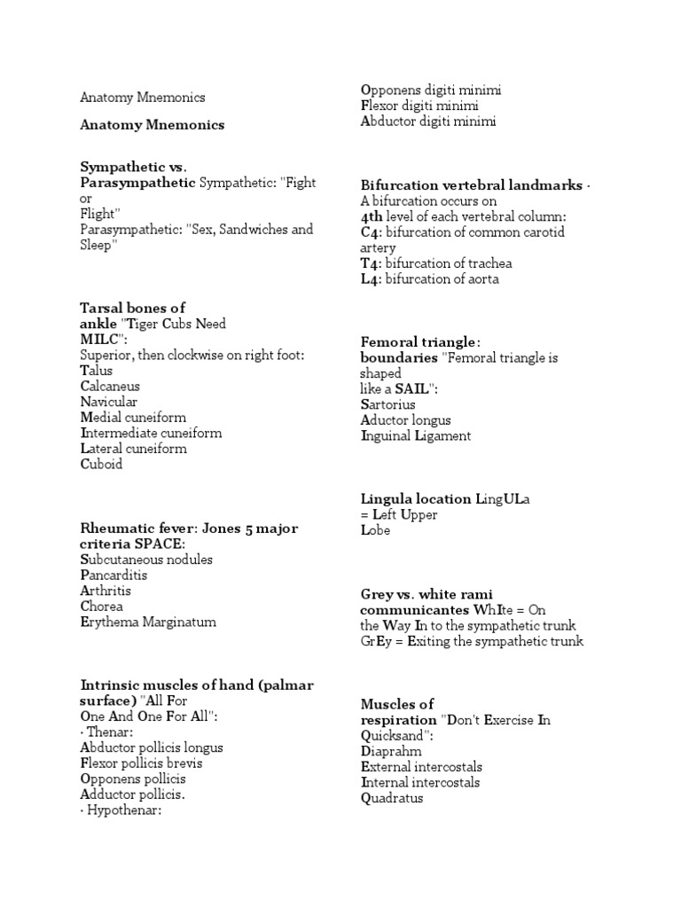 Anatomy Mnemonics PDF | PDF | Human Leg | Common Carotid Artery