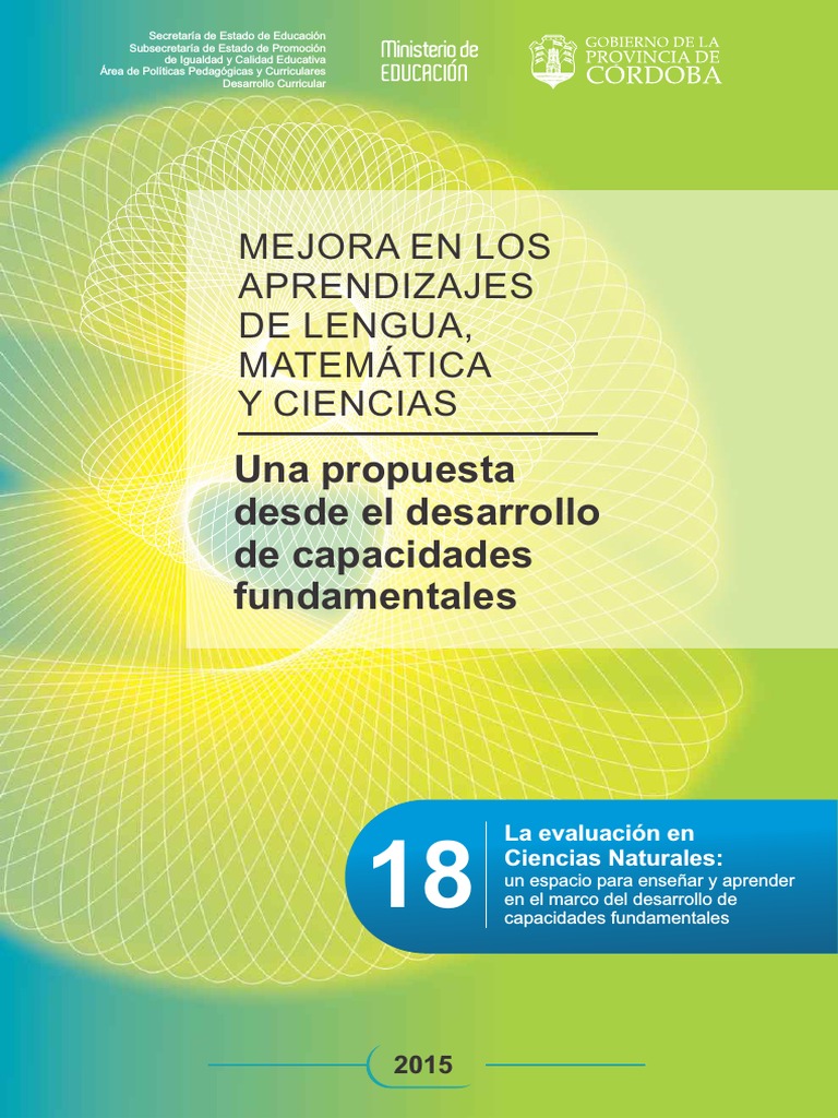 Fas - 18 Evaluación SPIyCE | PDF | Evaluación | Educación primaria