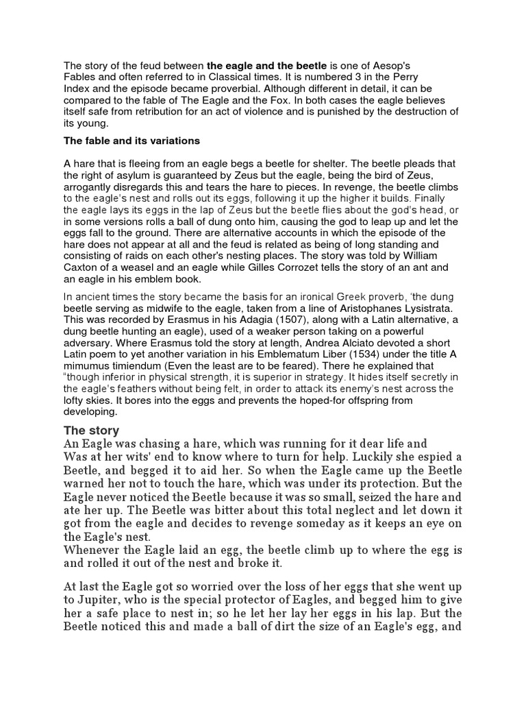 Beetle | PDF | Fable | Traditional Stories