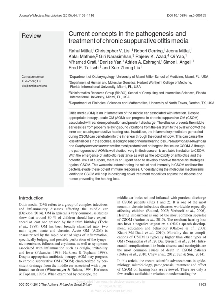 Chronic Suppurative Otitis Media Insights | PDF | Ear | Inflammation