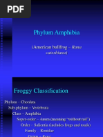 Classification of Frogs | PDF | Frog | Amphibian