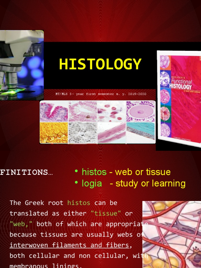 Introduction To Microscope and Histology (With Histopathology) | PDF ...