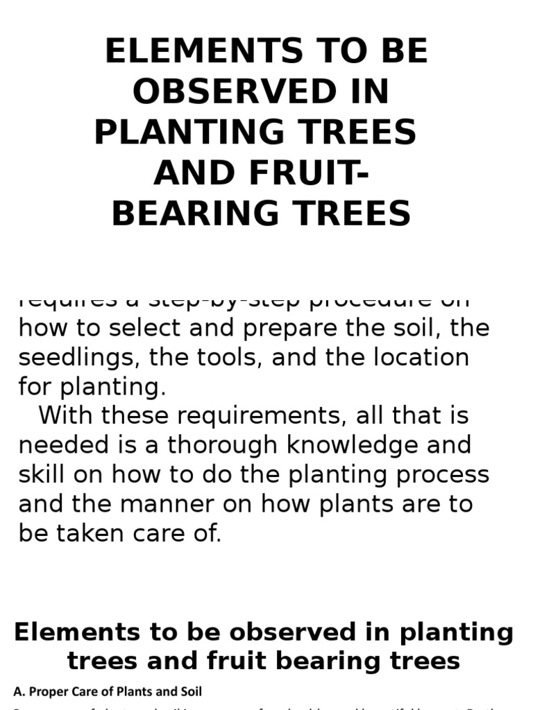 Elements to Be Observed in Planting Trees | Seed | Trees