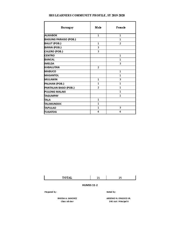 Age and Community Profile Template | PDF