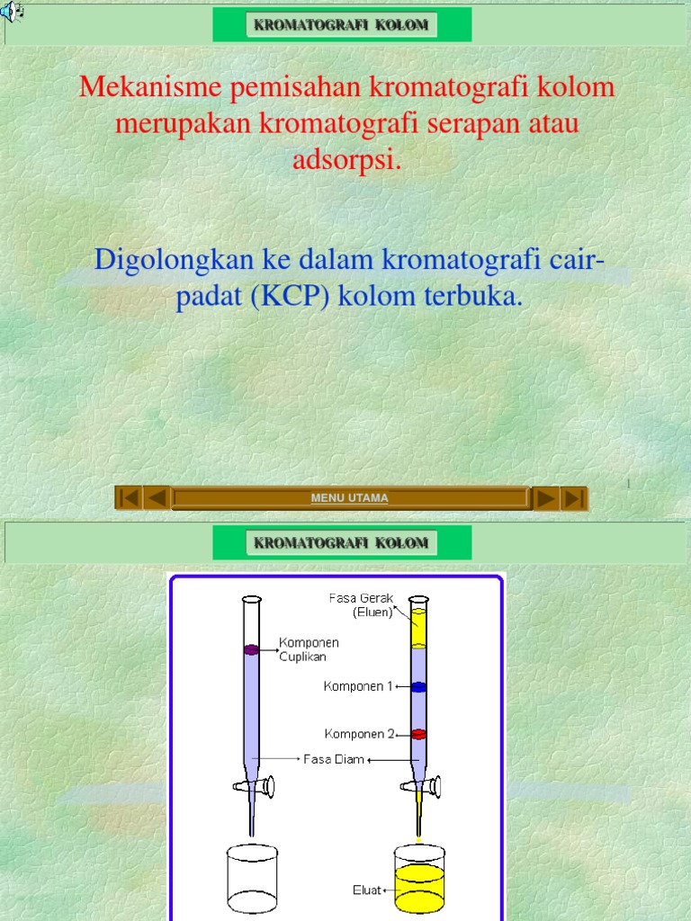 Kromatografi Kolom | PDF
