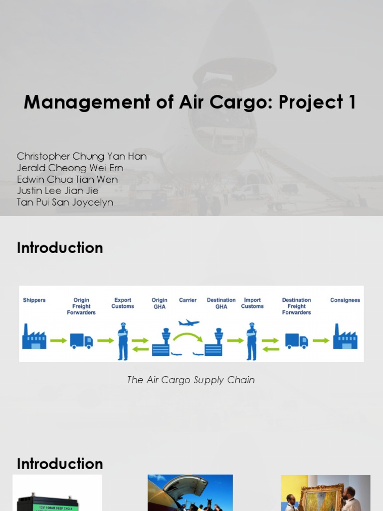 Air Cargo Management: Handling Guidelines | PDF | Cargo | Supply Chain ...