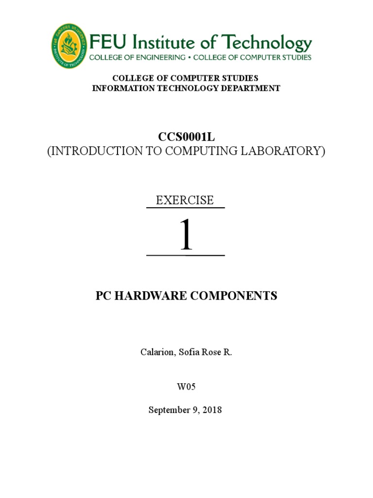 CCS0001L: (Introduction To Computing Laboratory) | PDF | Personal ...