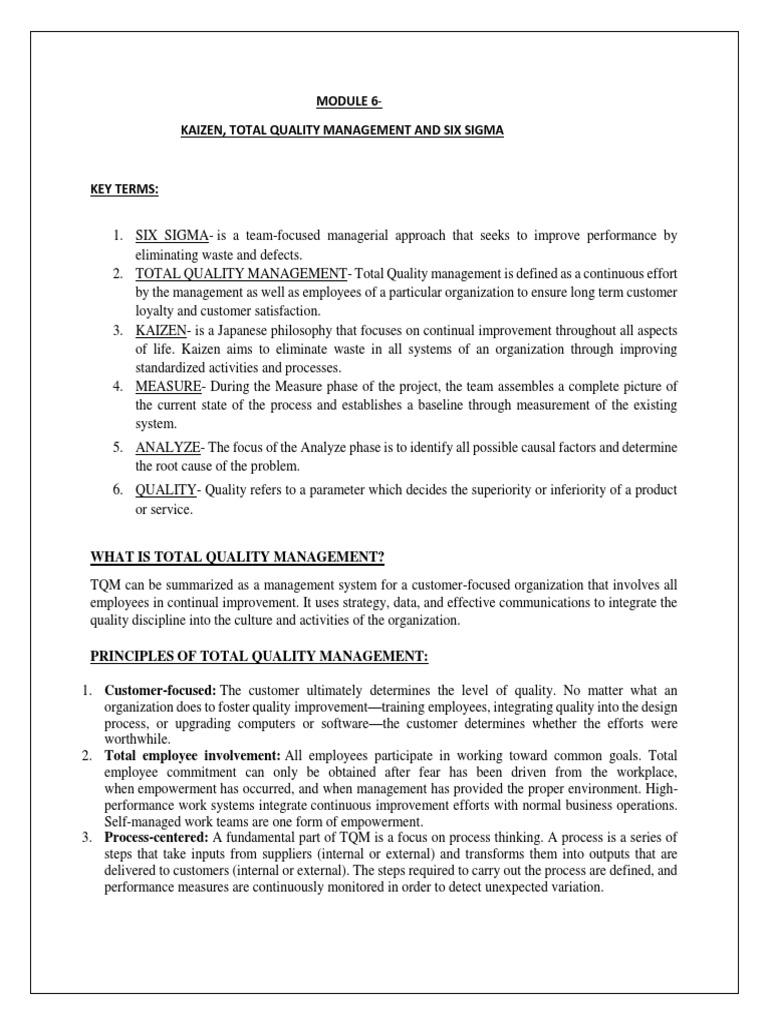 SIx Sigma Report | PDF | Six Sigma | Business Process