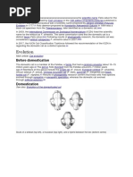 Wild Cat Family List by Lineage - Family | PDF | Felidae | Panthera