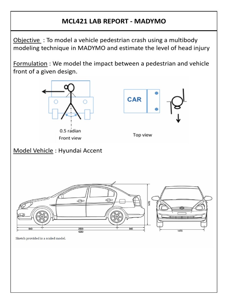 Mcl421 Lab Report - Madymo | PDF