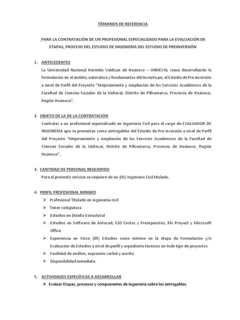 TDR Ingeniero Civil | PDF