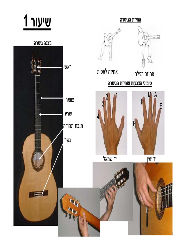 First Guitar | PDF
