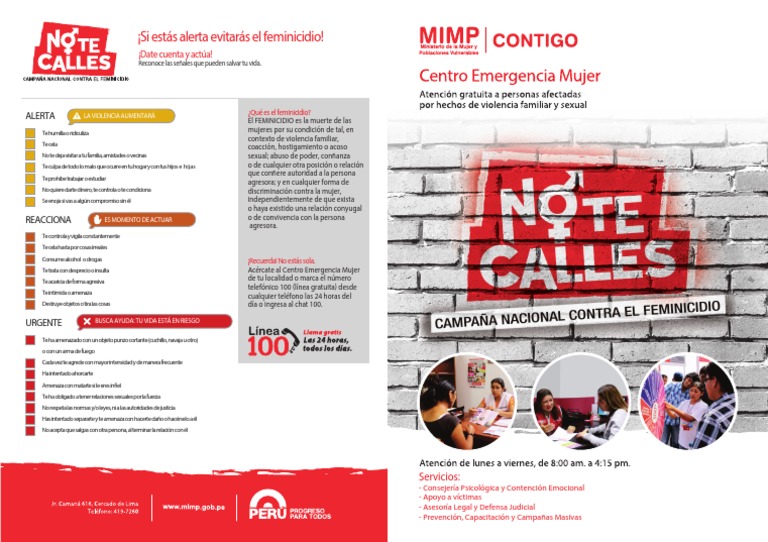 Cartilla Contra El Feminicidio | PDF | Violencia | Violencia doméstica