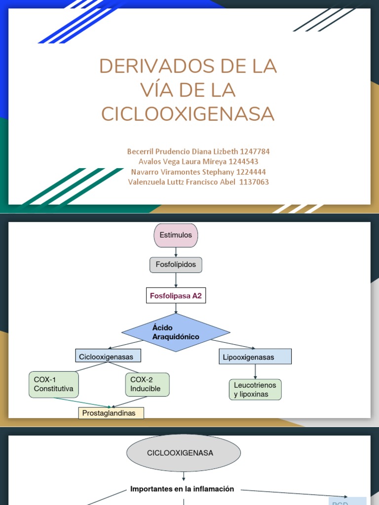 Derivados De La Vía De La Ciclooxigenasa