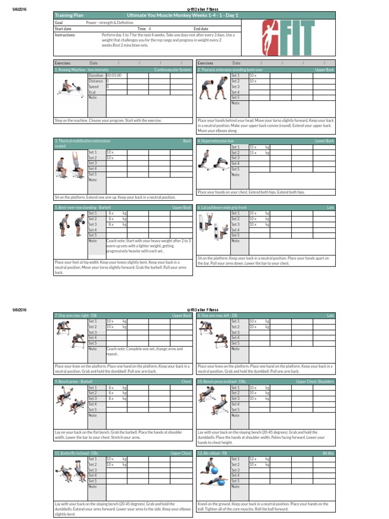 Muscle Monkey Week 1 4 1 | PDF | Human Anatomy | Musculoskeletal System