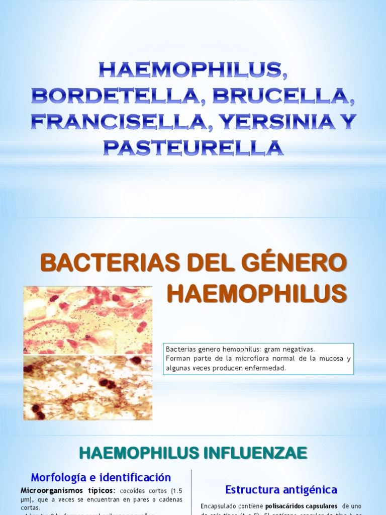 Haemophilus y Otros | PDF | Tos | Inmunología