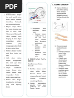 Leaflet Akses Vaskuler | PDF