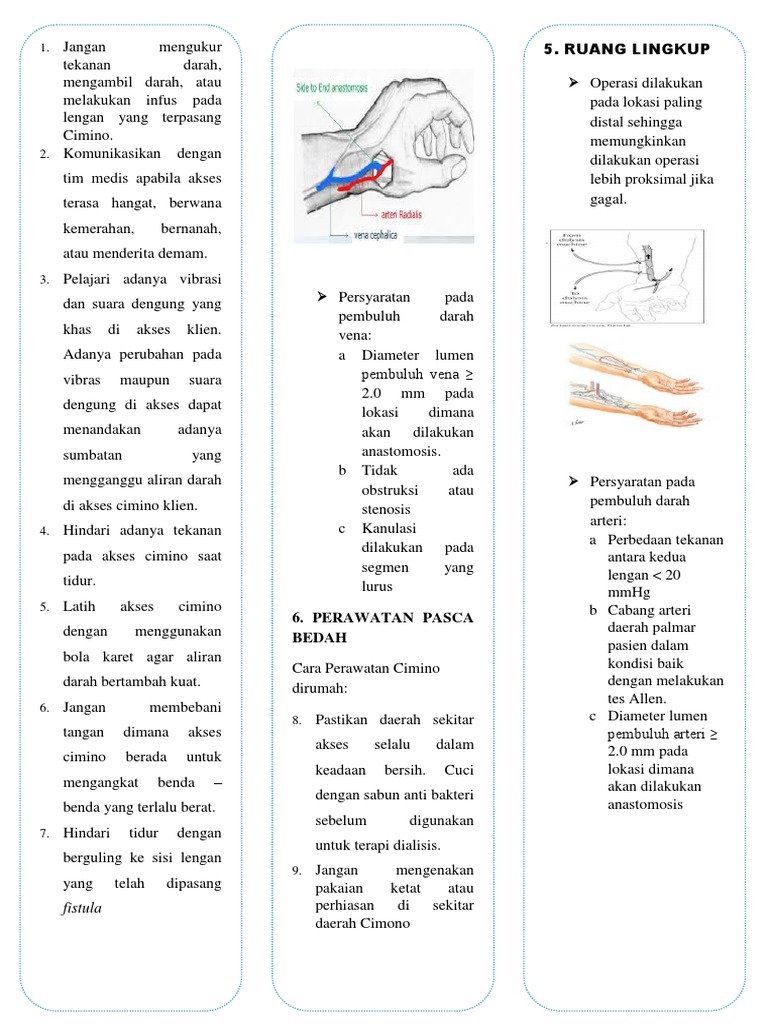 Leaflet Av Shunt | PDF
