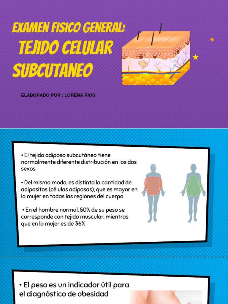 Tejido Subcutaneo | PDF | Edema | Anatomia animal