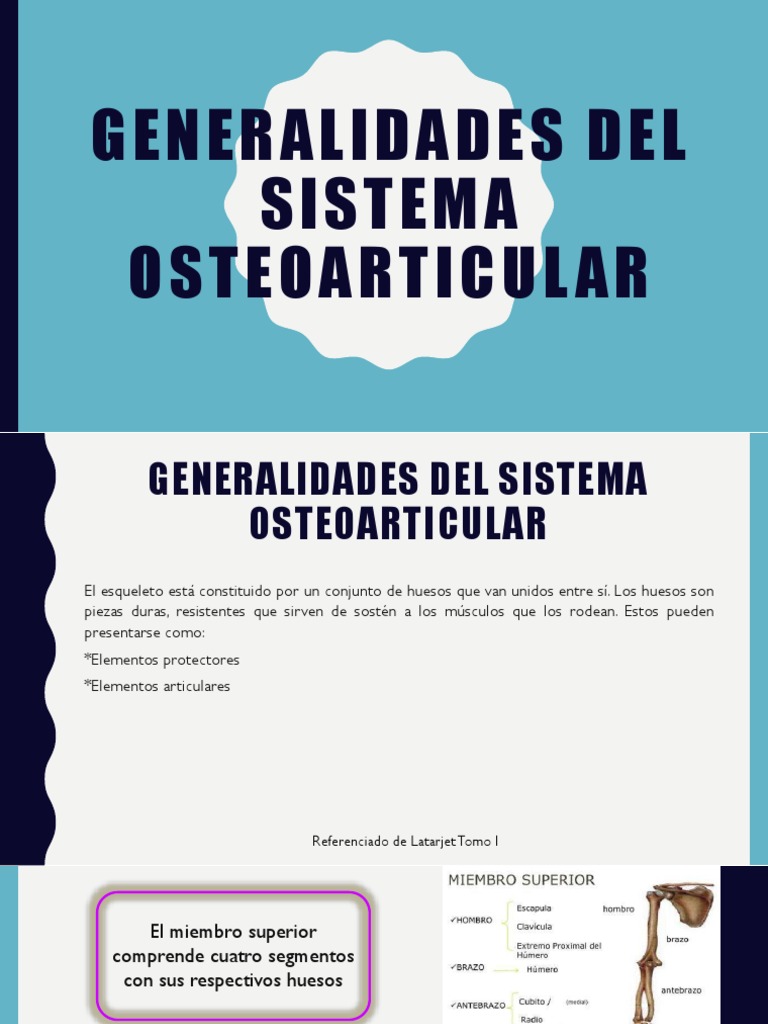 Generalidades Del Sistema Osteoarticular | PDF | Articulación ...