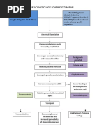 Congestive Heart Failure Pathophysiology Schematic Diagram | PDF | Heart | Lung