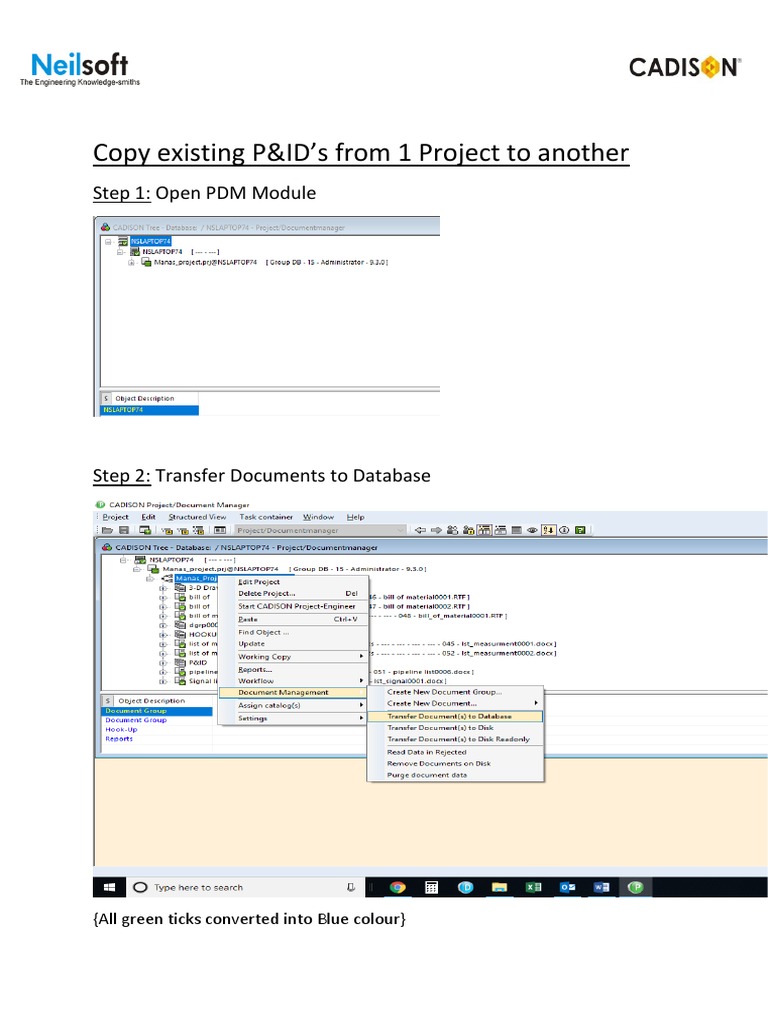 Copy and Transfer P&IDs Between Projects | PDF