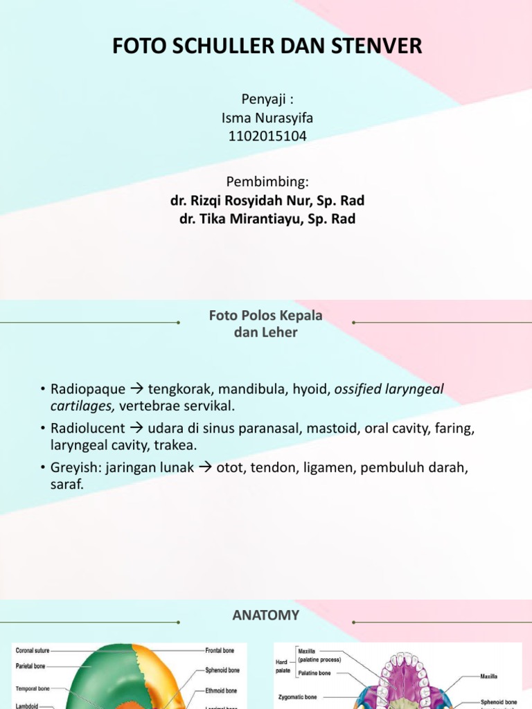 Proyeksi Rontgen Schuller dan Stenver | PDF