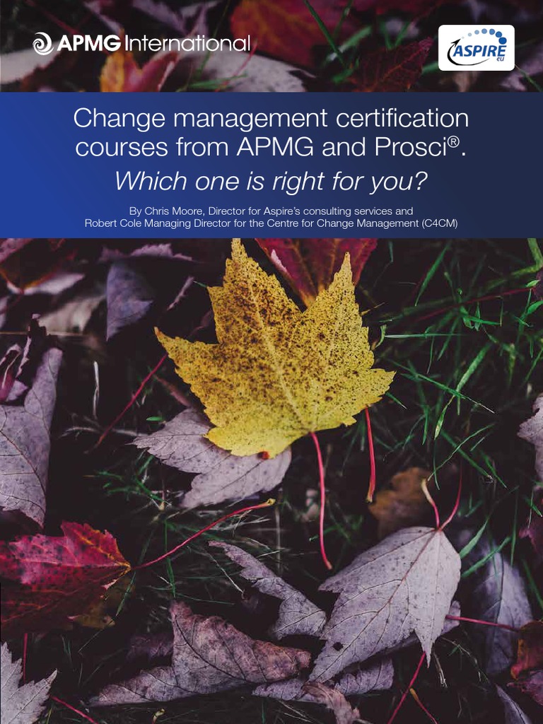 Apmg Change Management Vs Prosci White Paper 1 0 | PDF | Change ...