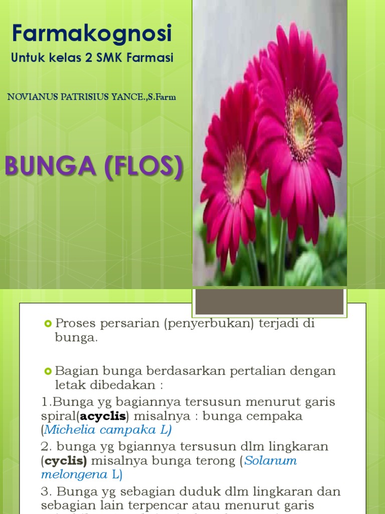 Bunga (Flos) | PDF