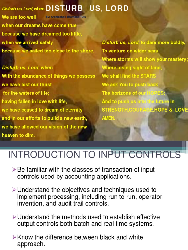 Chapter 7 Audcis | PDF | Audit | Areas Of Computer Science