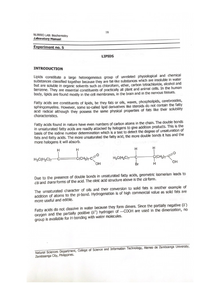 Lab Activity 5 | PDF