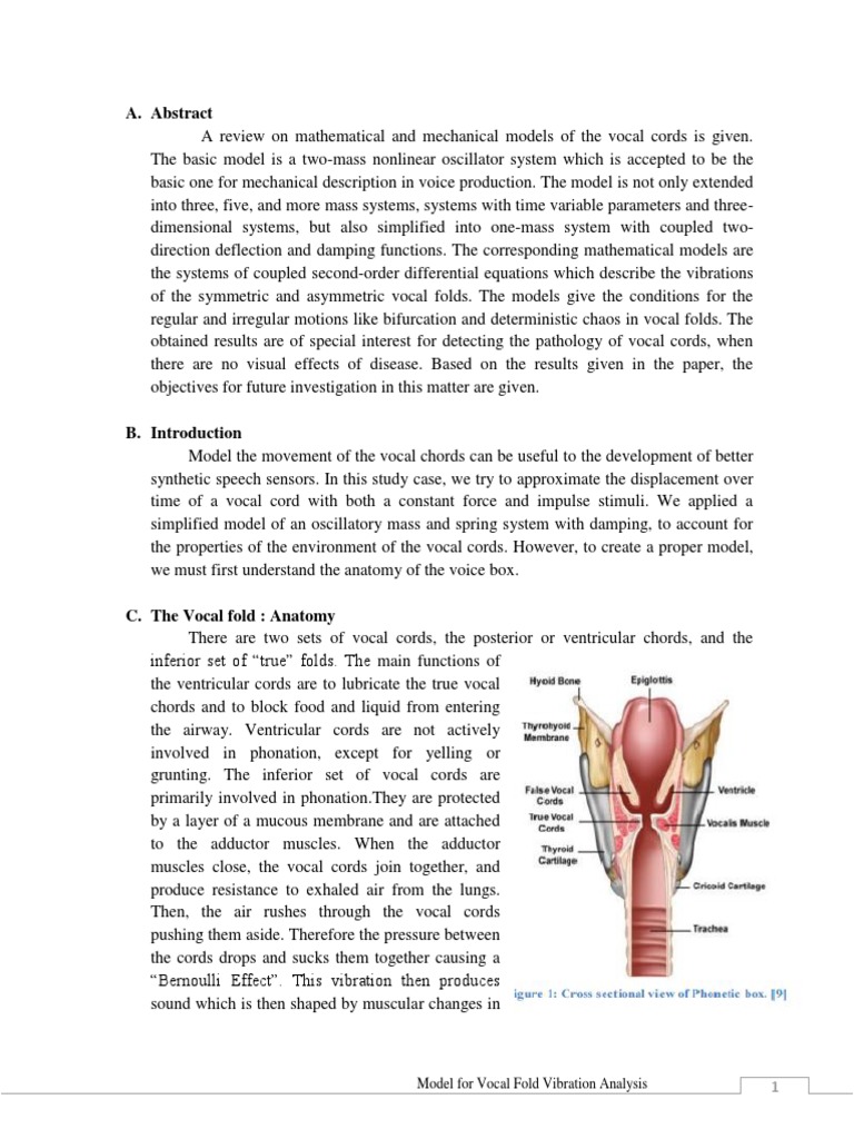A. Abstract: Model For Vocal Fold Vibration Analysis | PDF | Human ...