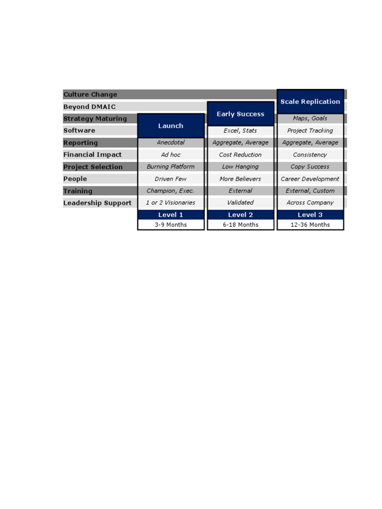 Maturity Model Assessment | PDF | Six Sigma | Business