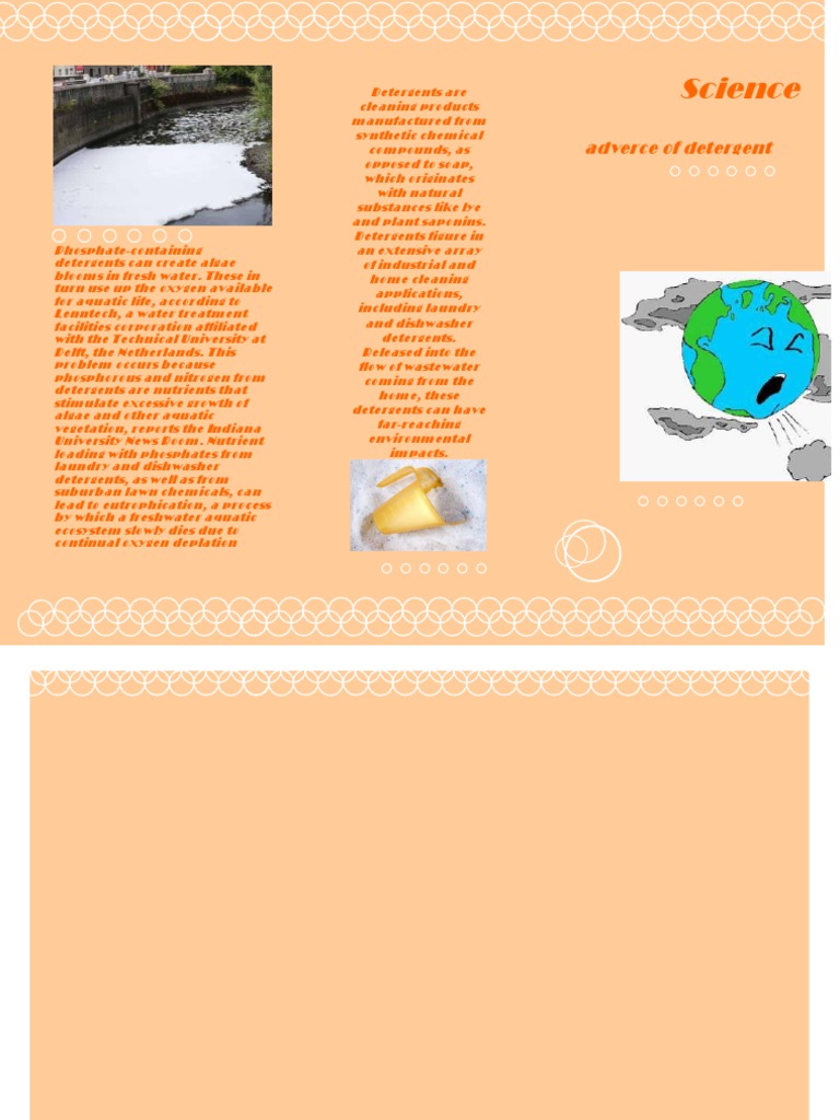 Science: Adverce of Detergent | PDF