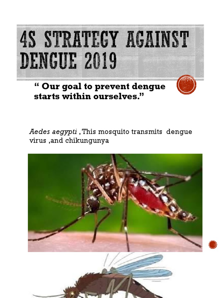 4s Strategy Against Dengue 2019 | PDF