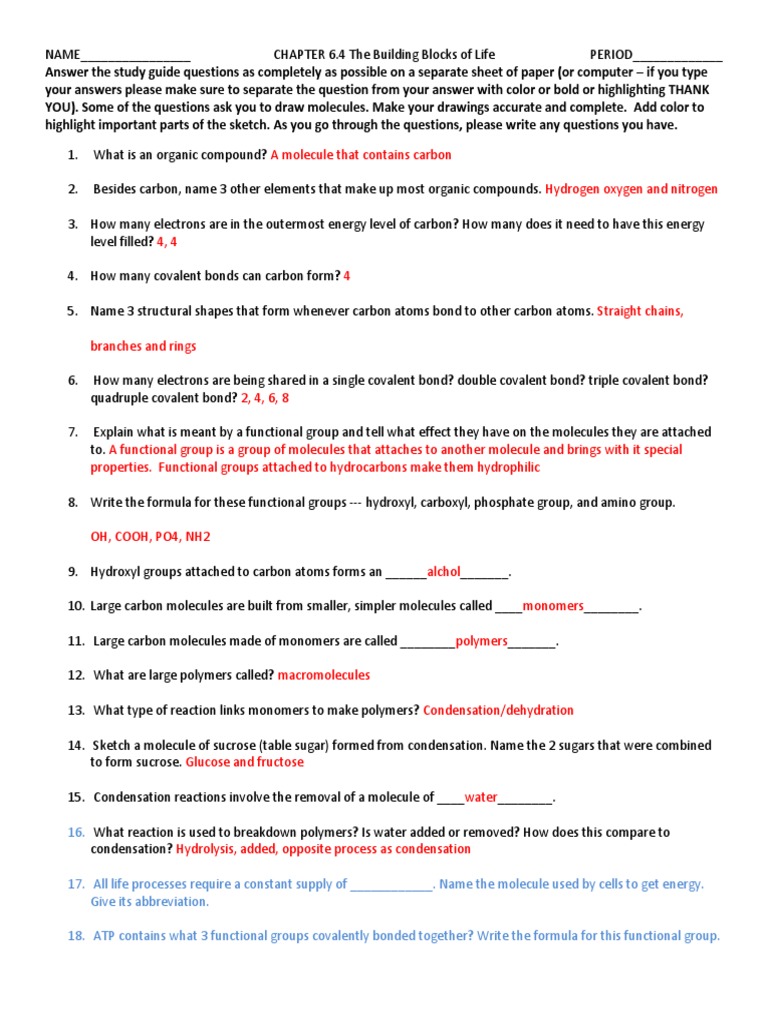 01 Macromolecules Study Guide ANSWERS | PDF | Carbohydrates ...