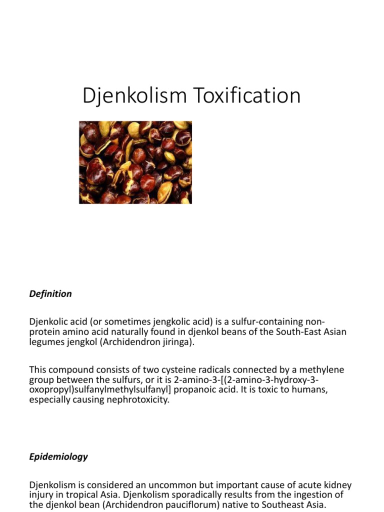 Djenkolism Toxification | PDF