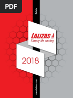 Inflatable Life Jacket Inspection Checklist | PDF