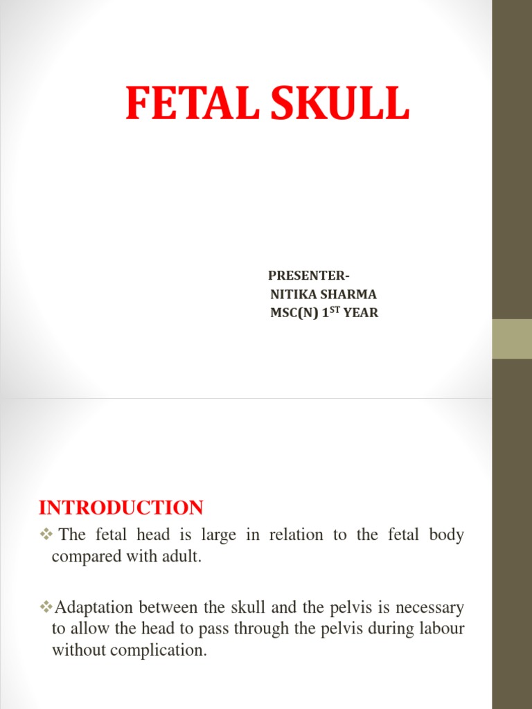 Fatal Skull | PDF | Skull | Human Anatomy