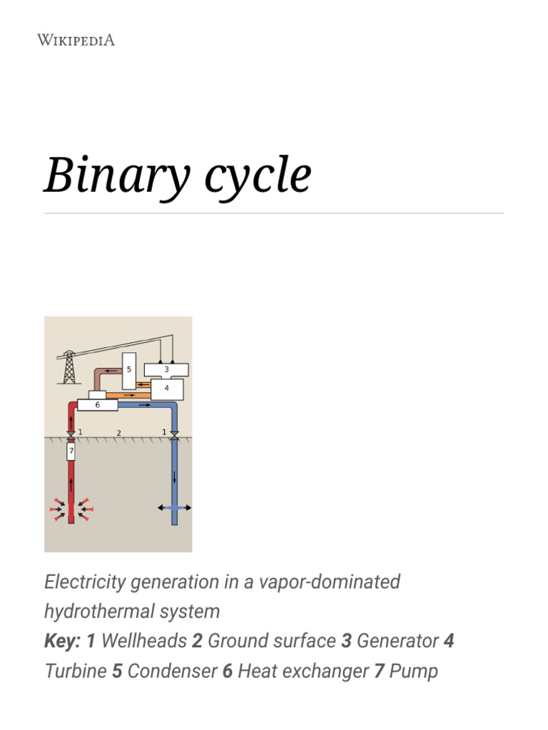 Binary Cycle | PDF | Physical Quantities | Physics