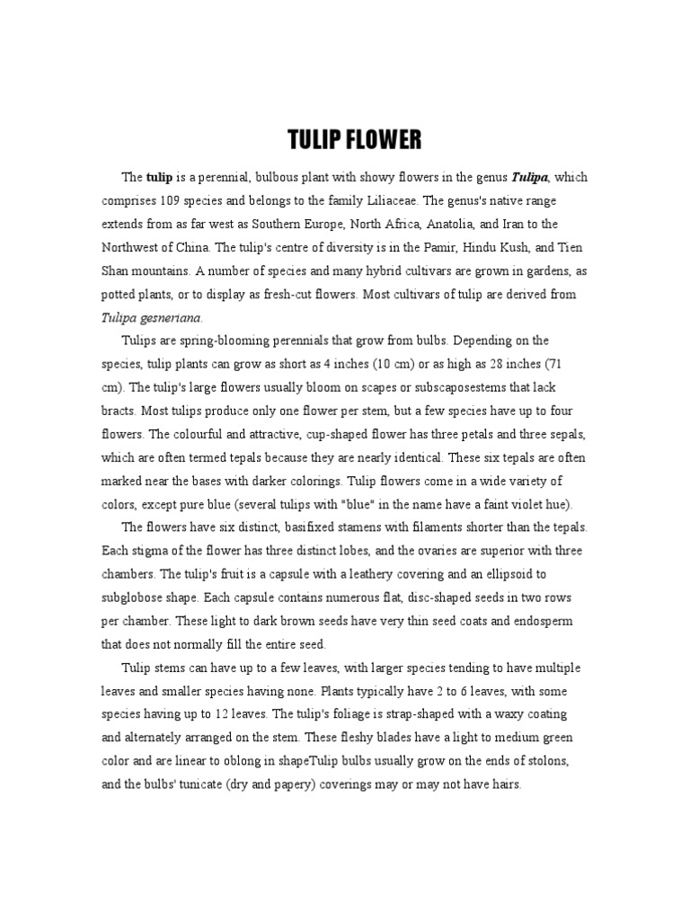 Tulip Flower | PDF | Tulip | Branches Of Botany