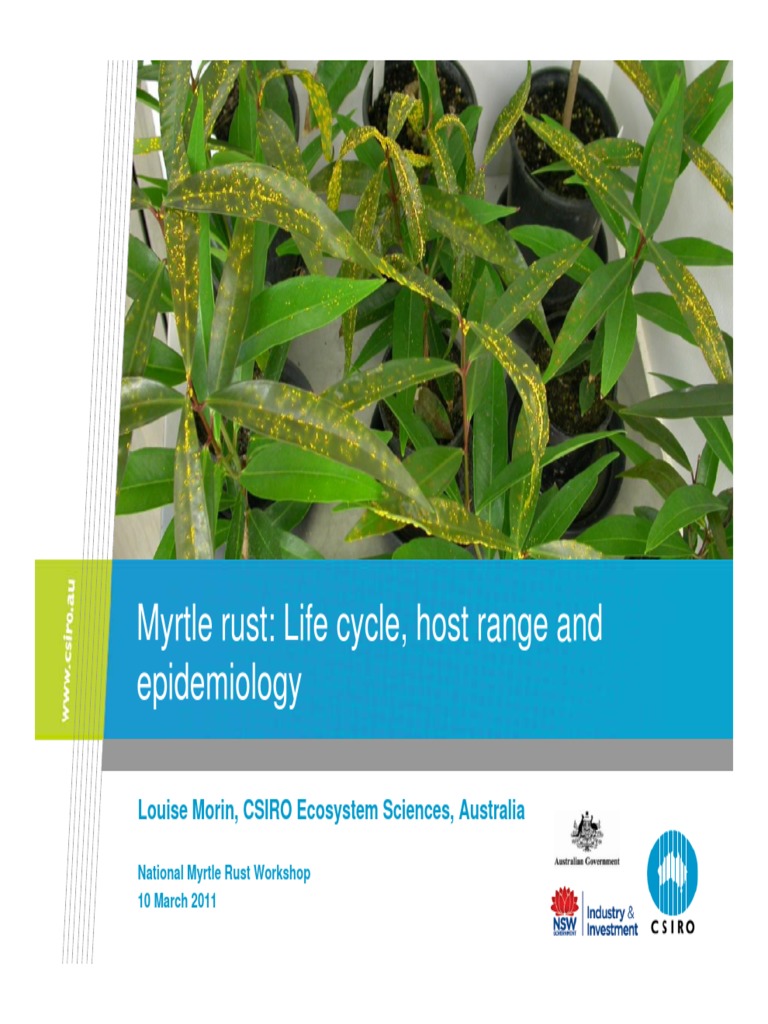 Myrtle Rust Life Cycle and Host Range | PDF | Organisms | Plants