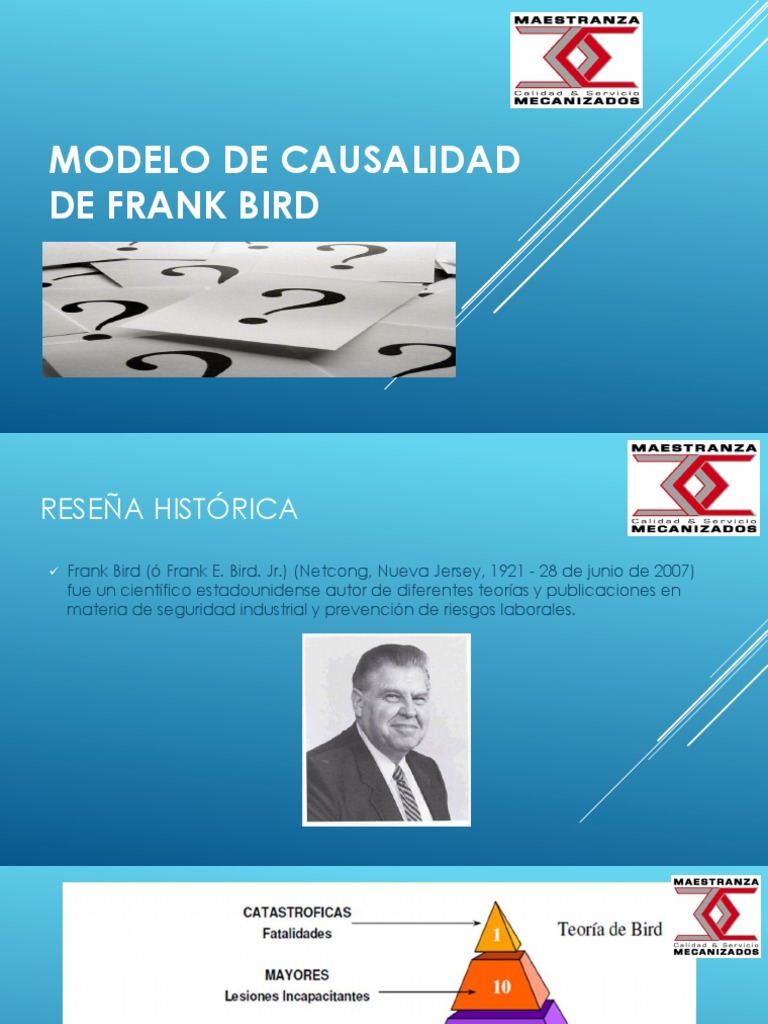 Modelo de Causalidad de Frank Bird | PDF | Mente | Sicología