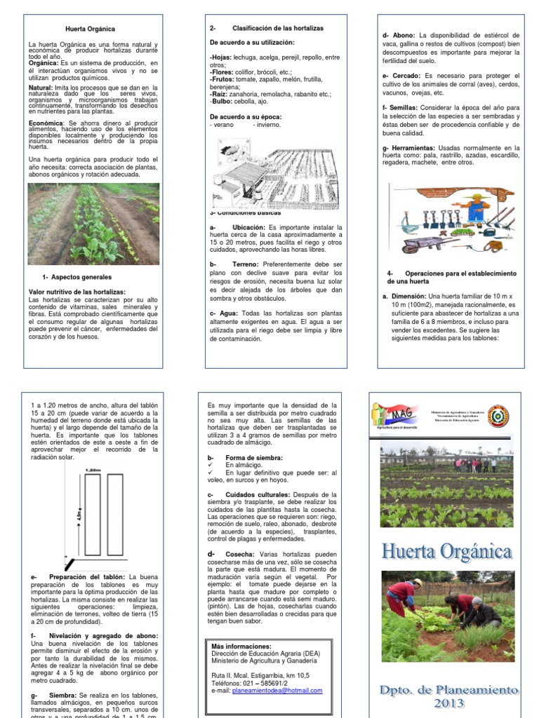Triptico - docHUERTA ORGANICA | PDF | Vegetales | Agricultura