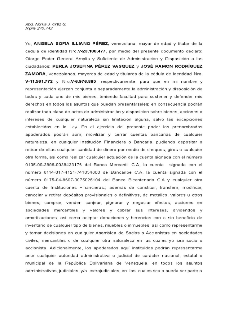 Modelo de Poder Amplio Angela Illiano | PDF | Bancos | Gobierno