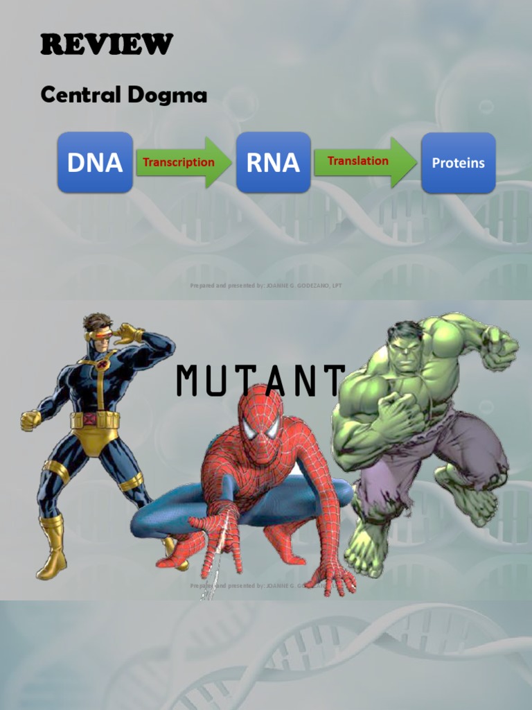 Mutation Presentation | PDF | Mutation | Genetics