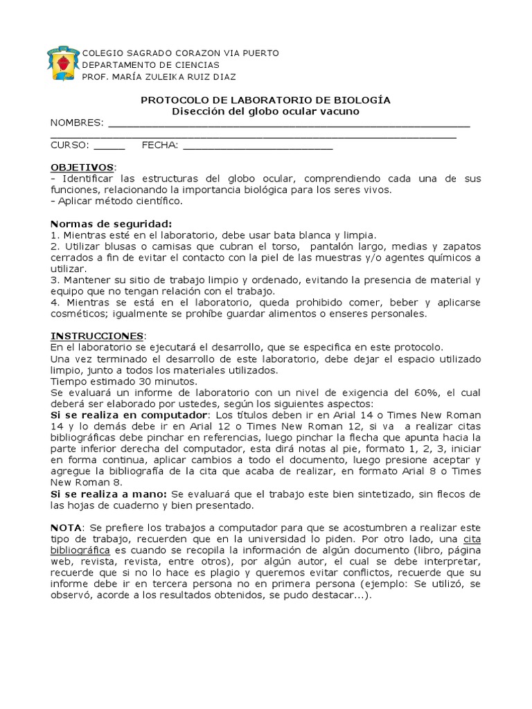 Hoja De Trabajo Con Respuestas Sobre La Disección Del Ojo De Una Vaca