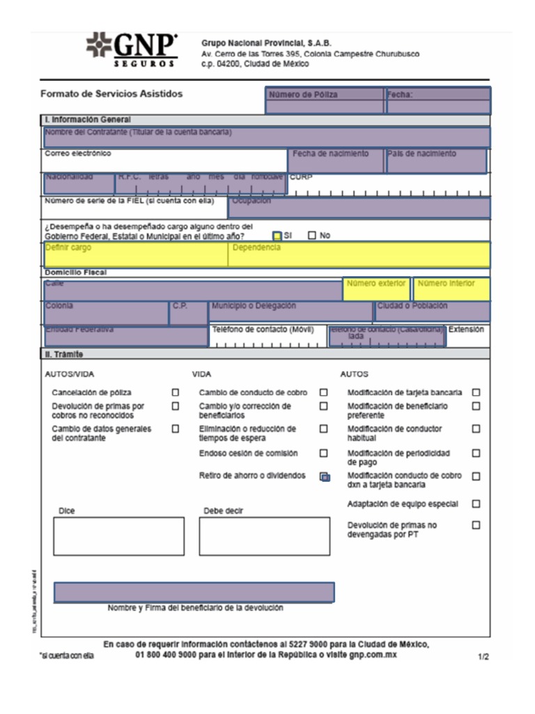 Ejemplo de Como Llenar Formato | PDF